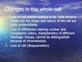 Absorption of drug | PPT