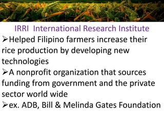 IRRI PHL | PPTX | Agriculture | Industries