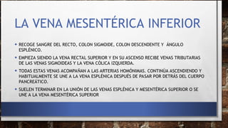 Anatomia de la irrigación del Abdomen y las estructuras | PPT