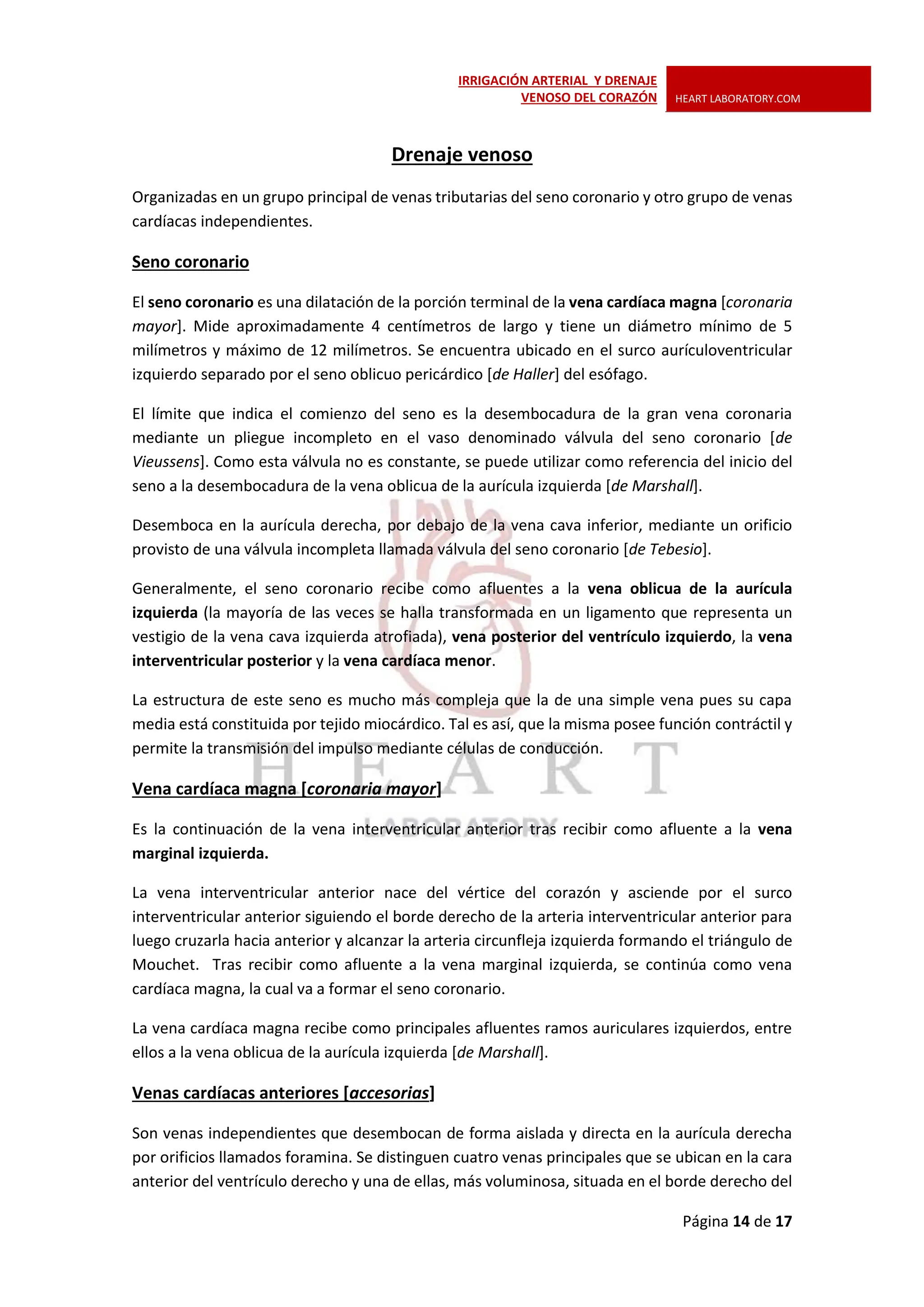 Irrigación Arterial y Drenaje Venoso del Corazón.pdf