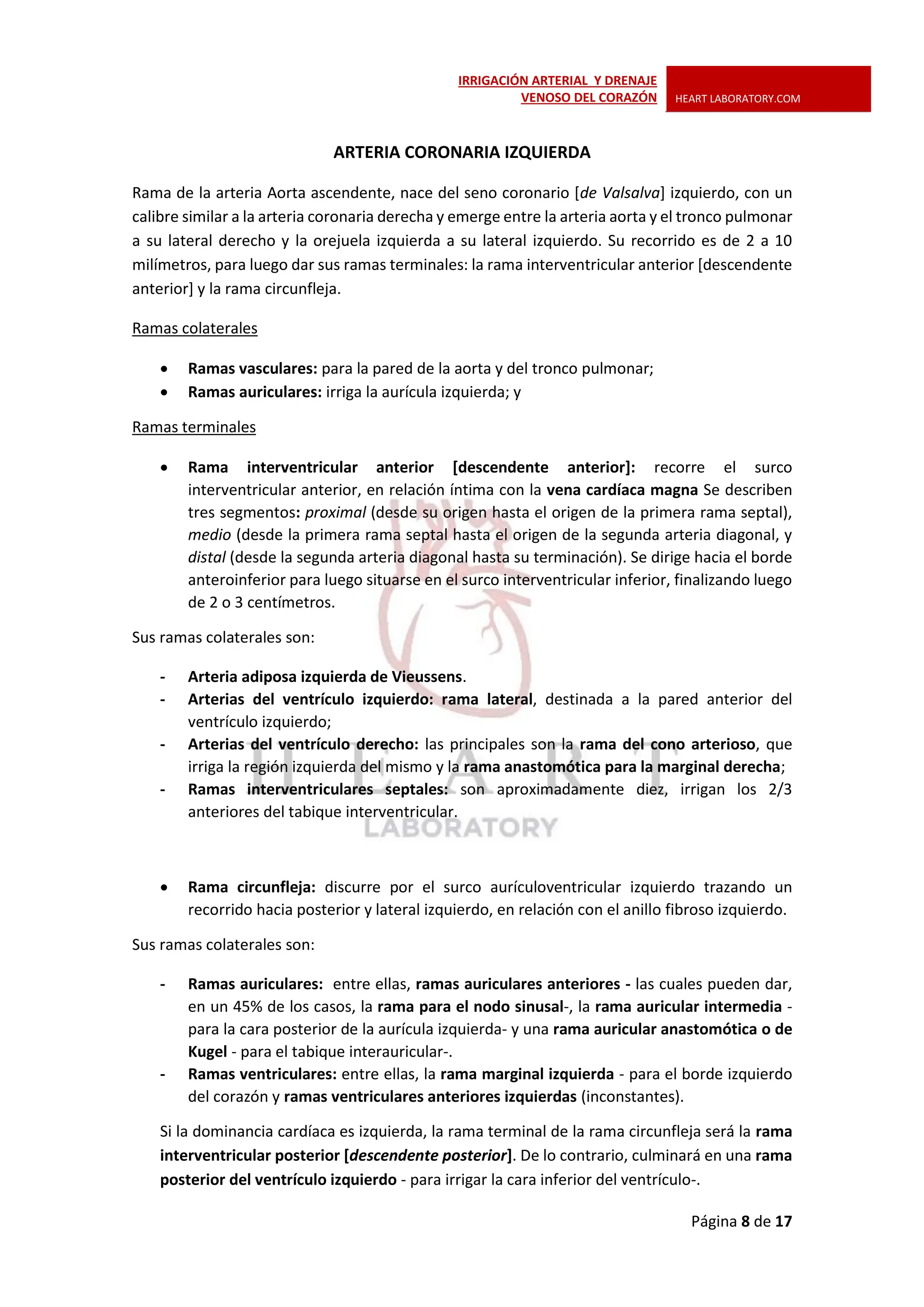 Irrigación Arterial y Drenaje Venoso del Corazón.pdf