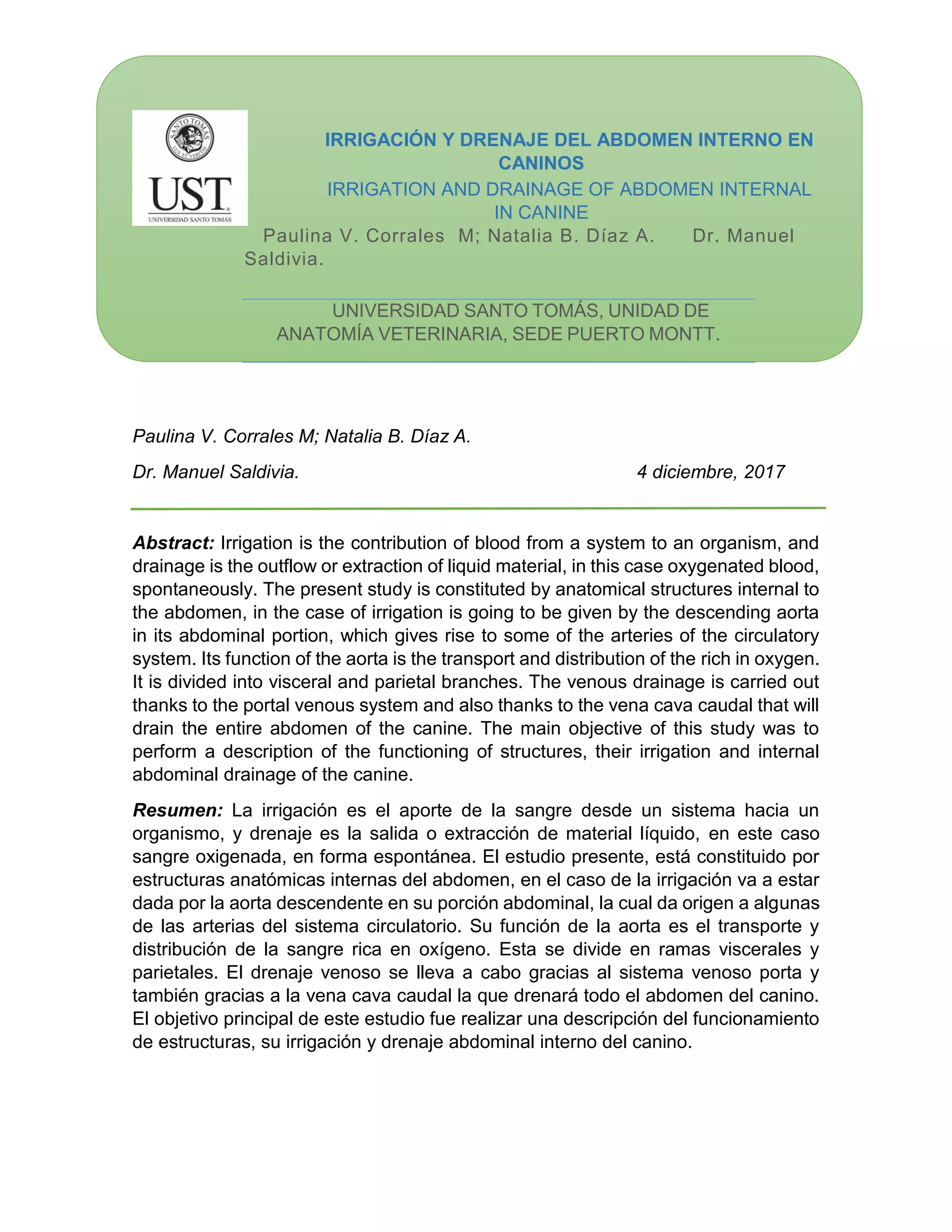 Irrigación y drenaje del abdomen interno en caninos | PDF