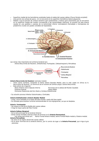 Irrigacion Cerebral | PDF