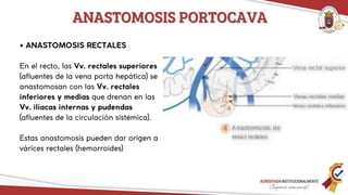 Irrigacion del abdomen, drenaje y sistema porta (1).pdf