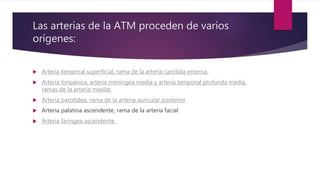 Irrigacion del atm | PPTX