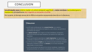 Irrigacion e Inervacion de la articulación mandibular | PPTX