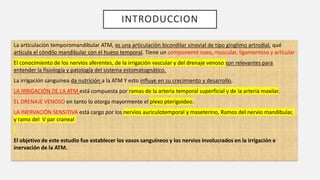 Irrigacion e Inervacion de la articulación mandibular | PPTX