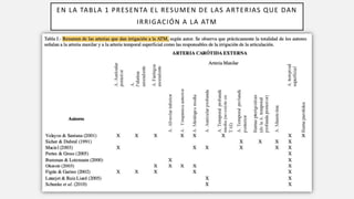 Irrigacion e Inervacion de la articulación mandibular | PPTX