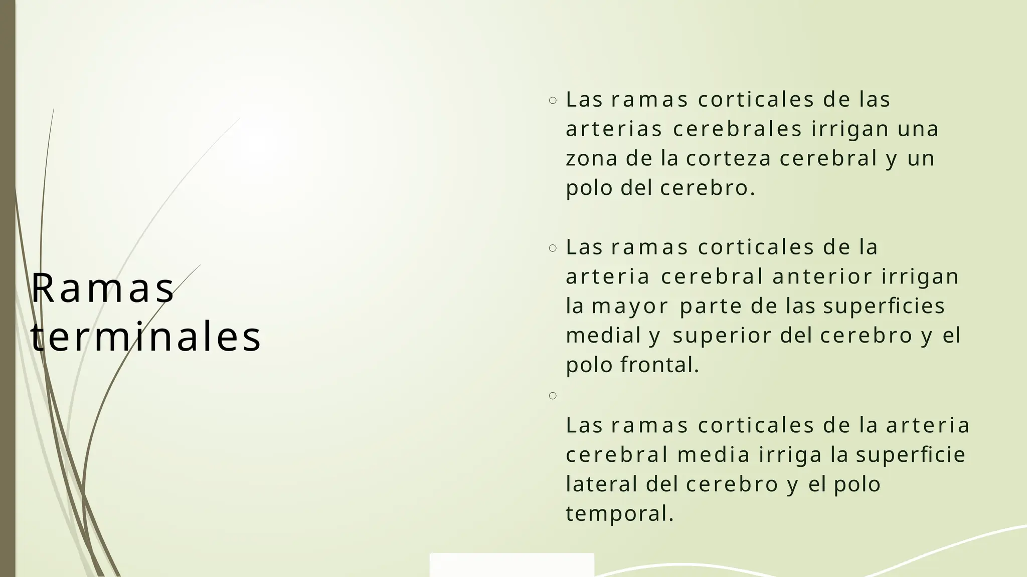 irrigacion encefalo12345678910111213.pptx