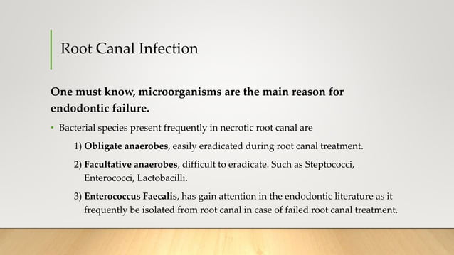 Root Canal Irrigation During Endodontic Treatment | PPTX