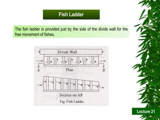 Irrigation | PDF