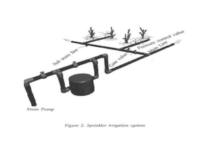 Types Of Irrigation Gates Water And Dam Gate In An Irrigation Canal