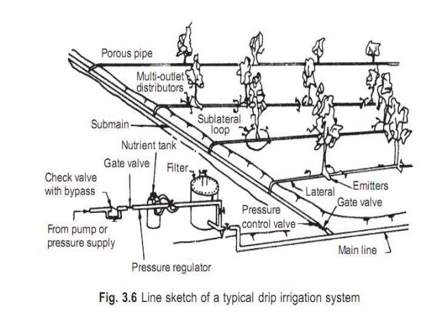 Flood Irrigation Design