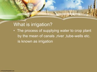 Irrigation | PPT