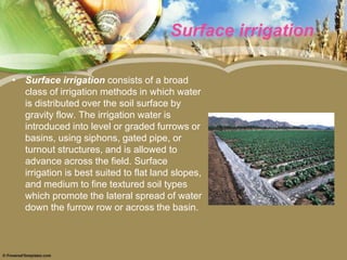 Irrigation | PPTX