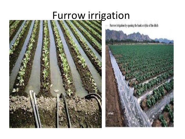Furrow Irrigation Method