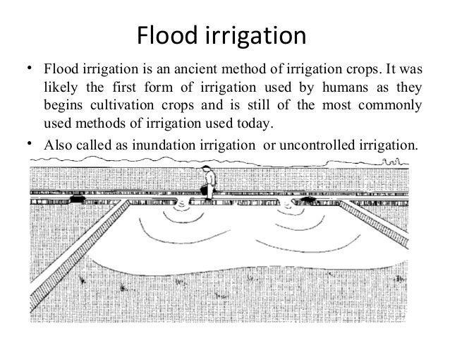Flood Irrigation Diagram