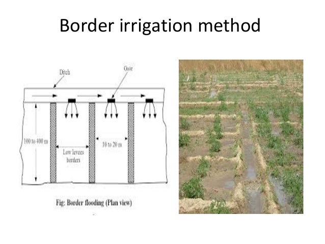 Irrigation