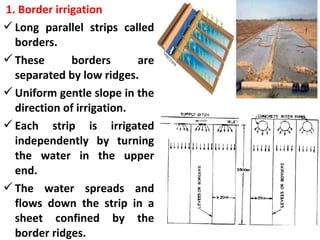 Irrigation | PPT