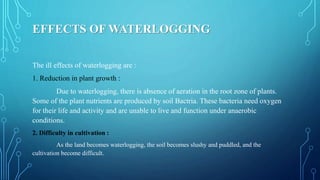 Water logging | PPTX