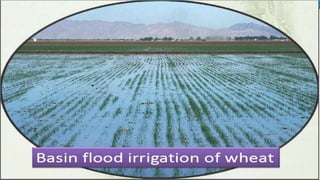 Definition and Types of IRRIGATION.pptx