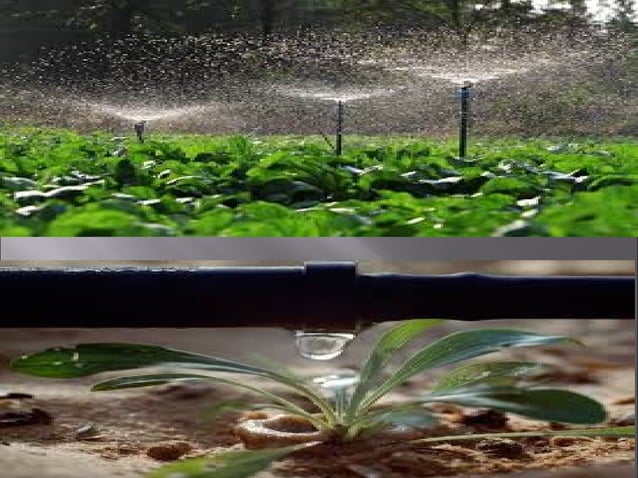 Irrigation controller-system | PPT | Chemistry | Science