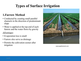 Irrigation and its types | PPTX