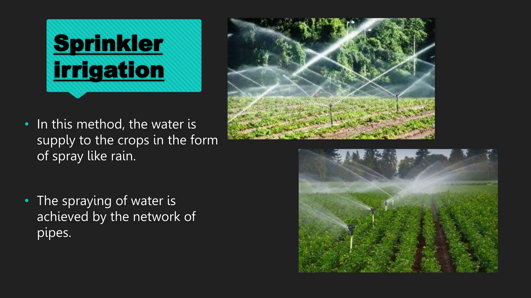 Presentation on irrigation 6th semet.pptx