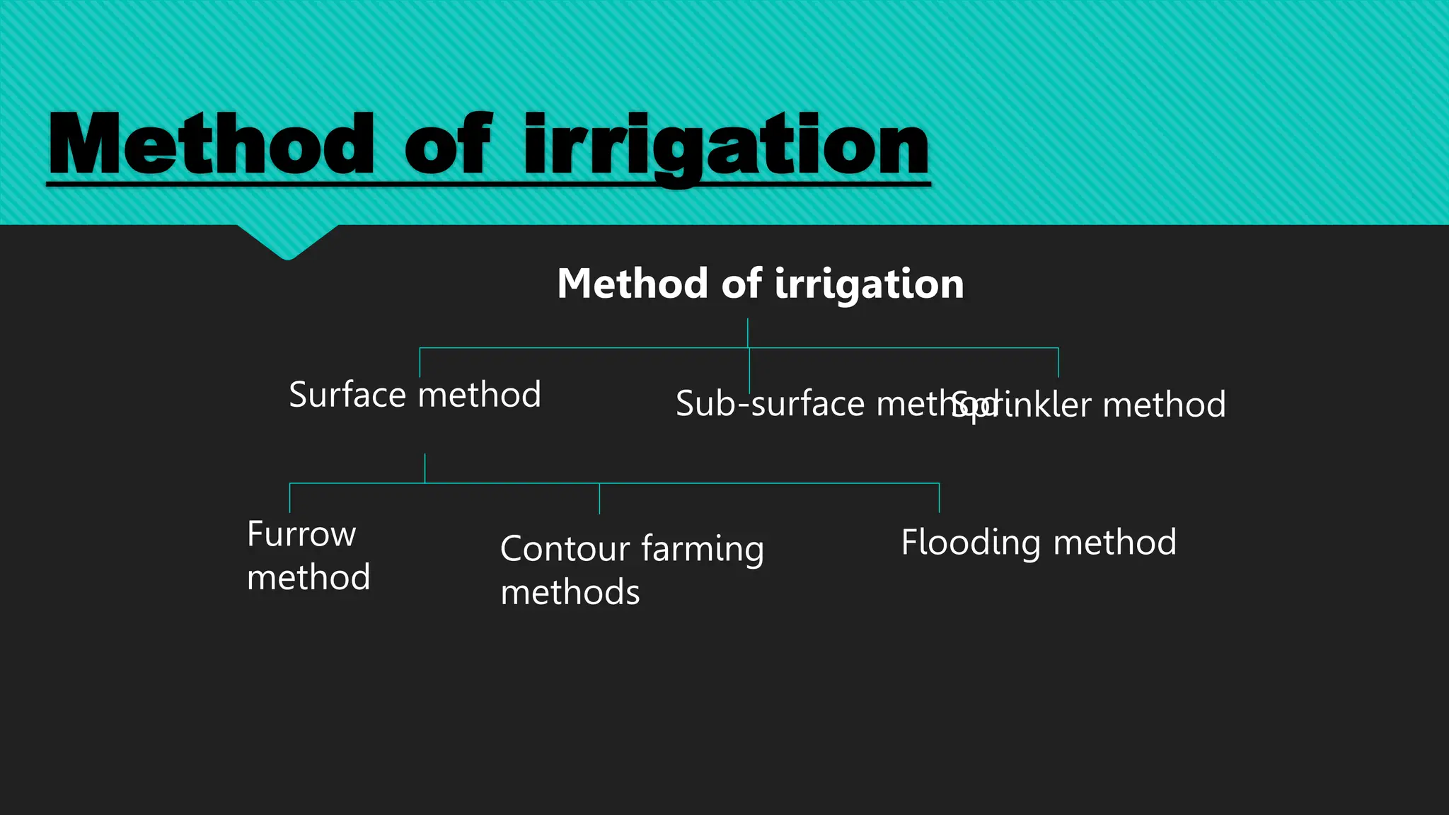 Presentation on irrigation 6th semet.pptx