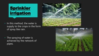 Presentation on irrigation 6th semet.pptx