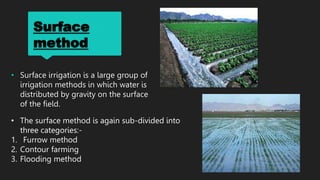 Presentation on irrigation 6th semet.pptx