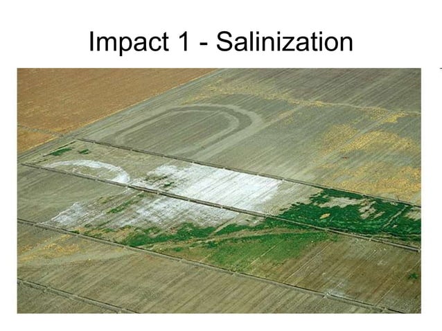 Irrigation & Agriculture IB Geography Freshwater | PPT