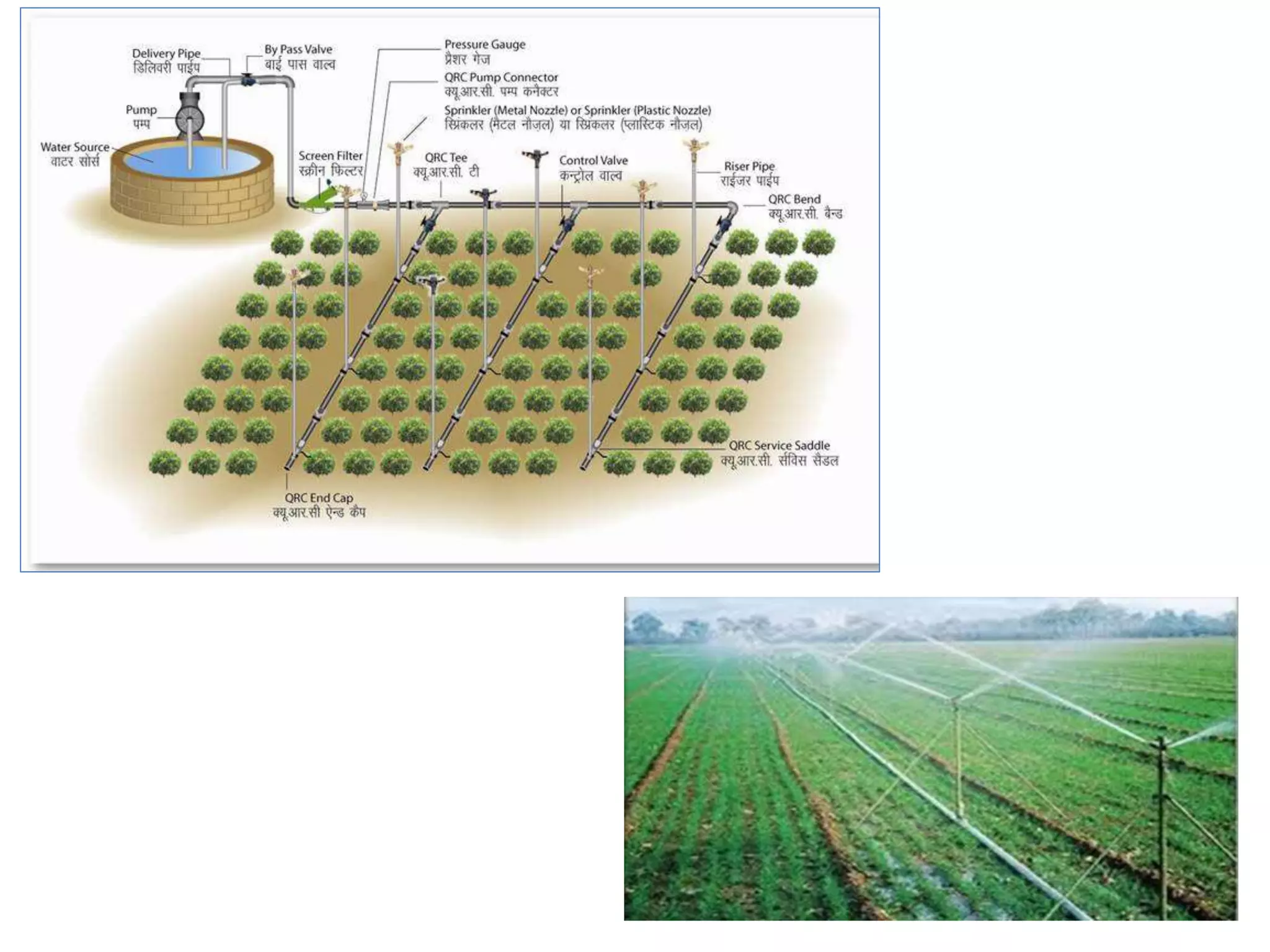 Irrigation and fertilizer application methods in horticultural crops by ...