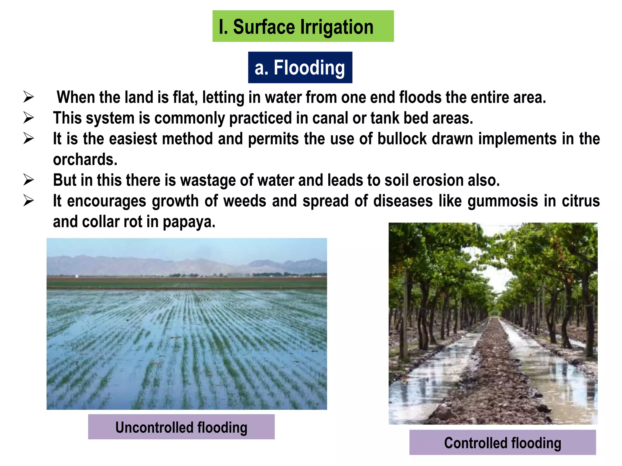 Irrigation and fertilizer application methods in horticultural crops by ...
