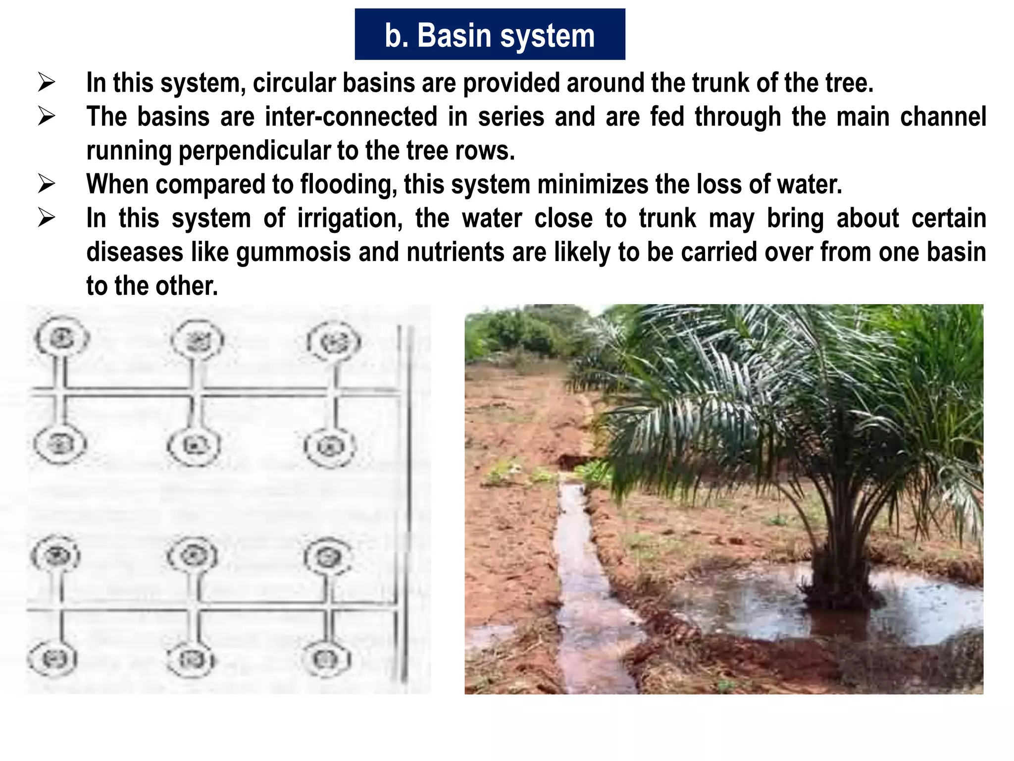Irrigation and fertilizer application methods in horticultural crops by ...