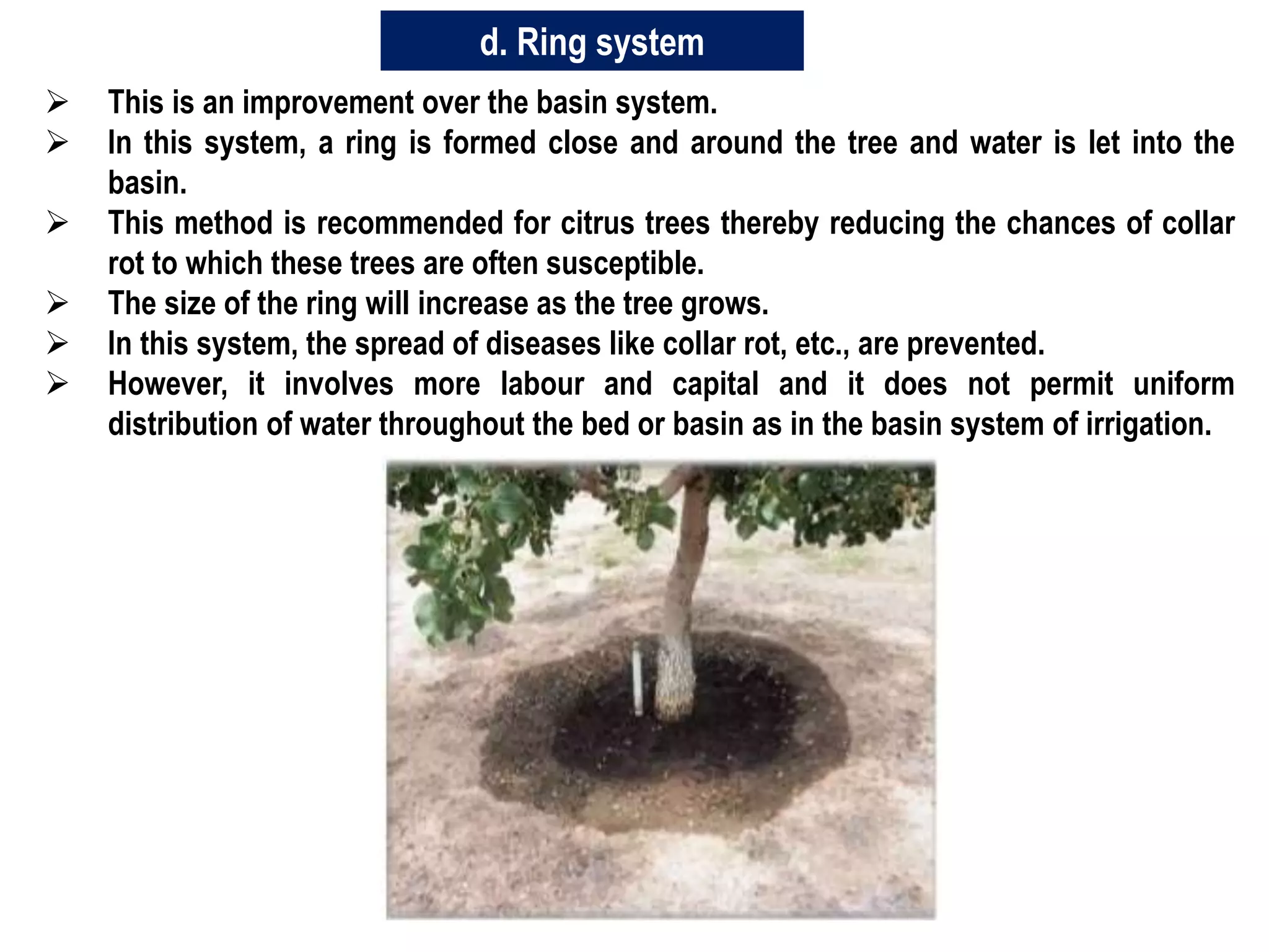 Irrigation and fertilizer application methods in horticultural crops by ...