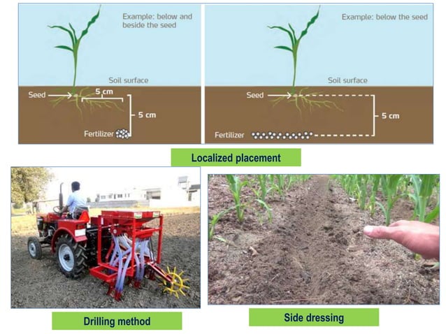Irrigation and fertilizer application methods in horticultural crops by ...