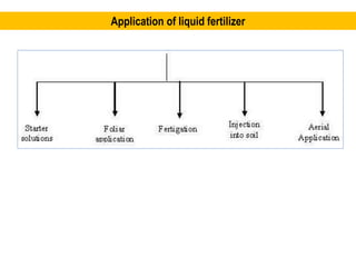 Irrigation and fertilizer application methods in horticultural crops by ...