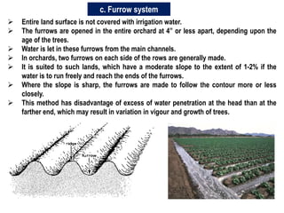 Irrigation and fertilizer application methods in horticultural crops by ...