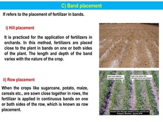Irrigation and fertilizer application methods in horticultural crops by ...