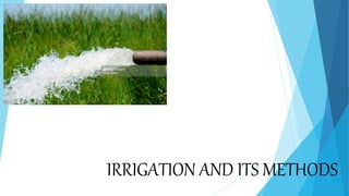 IRRIGATION AND ITS METHODS (In Agriculture).pptx