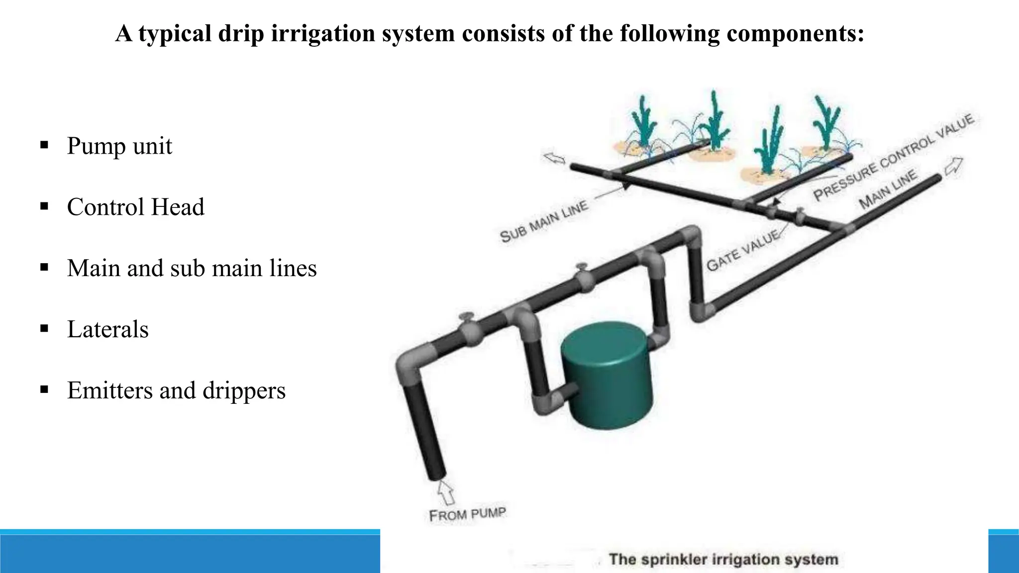 Introduction to Irrigation including the importance | PPTX