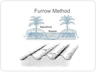 IRRIGATION_ENGINEERING.pptx
