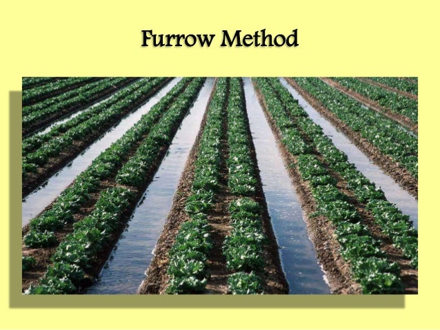 Irrigation Engineering Unit-II