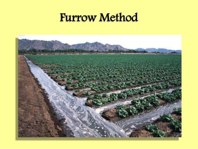 Furrow Irrigation Method