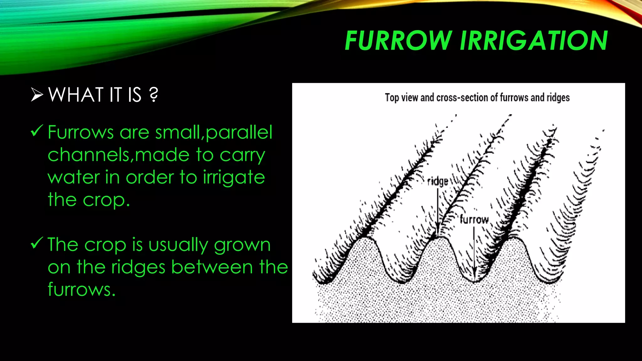 check basin , furrow and border strip method | PDF