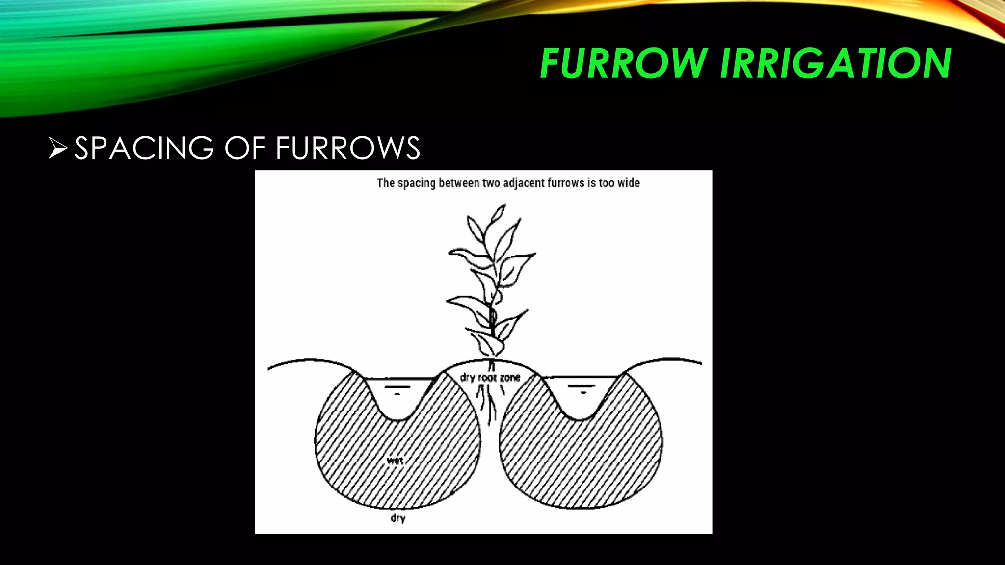 check basin , furrow and border strip method | PDF
