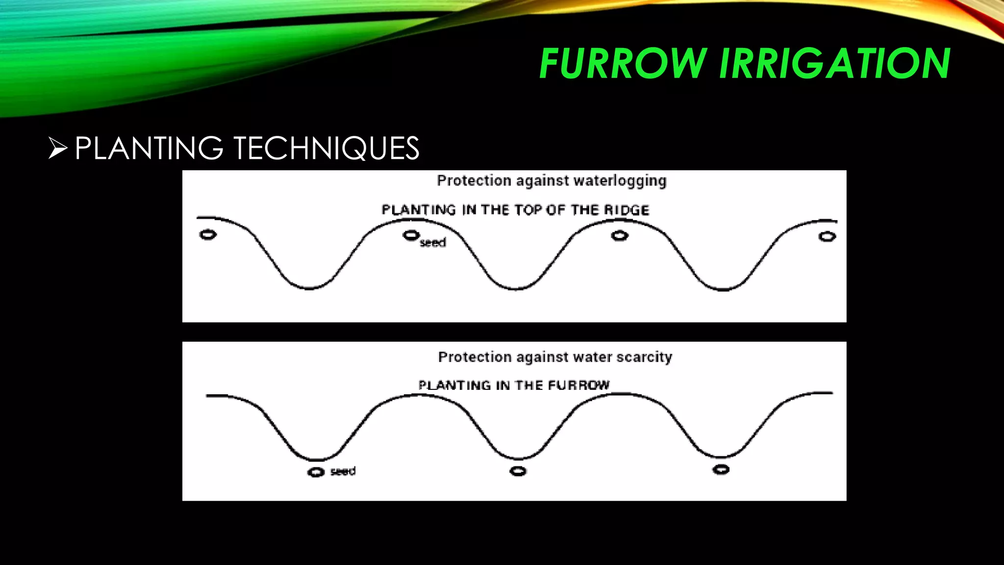 check basin , furrow and border strip method | PDF
