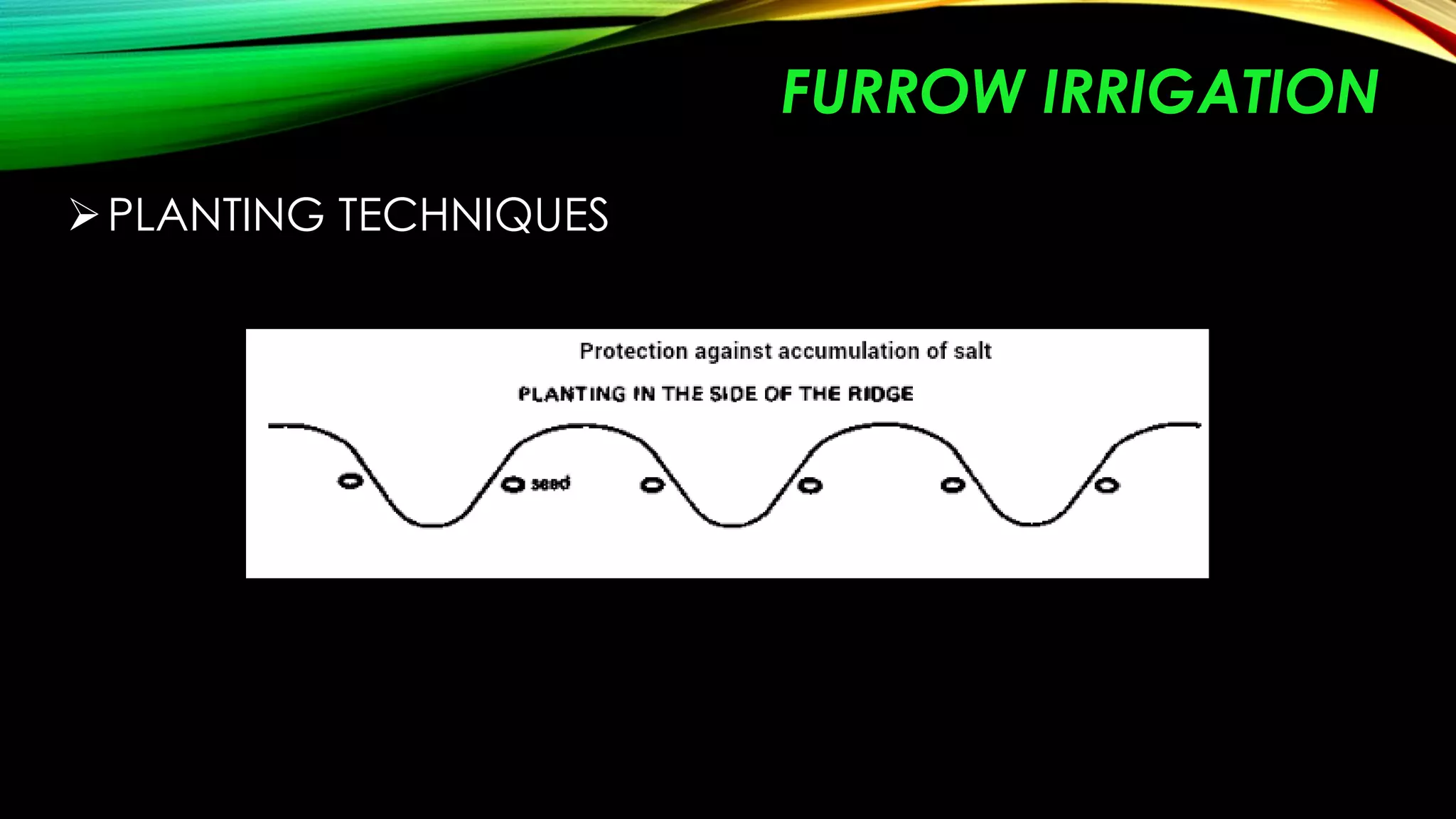 check basin , furrow and border strip method | PDF