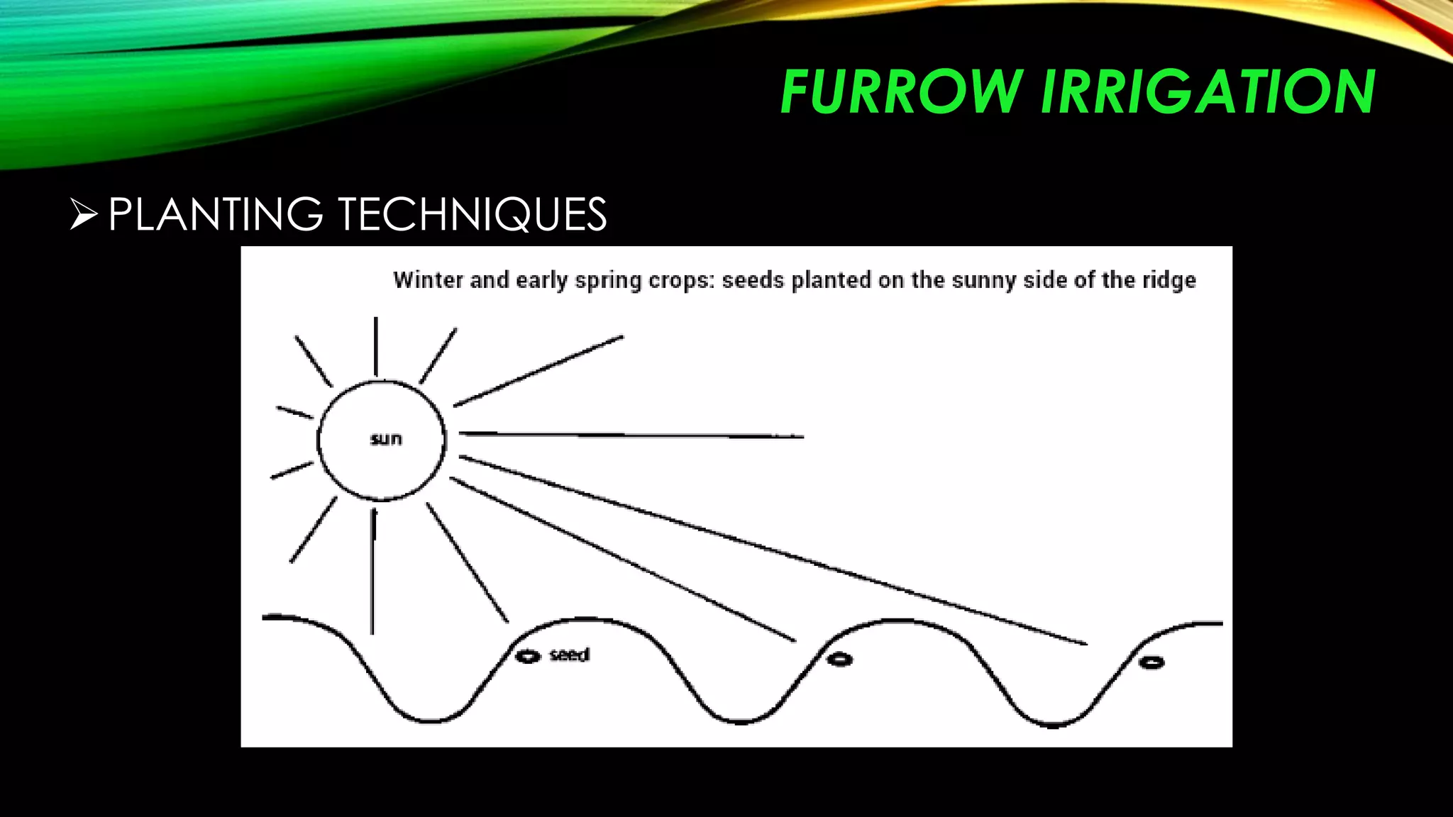 check basin , furrow and border strip method | PDF